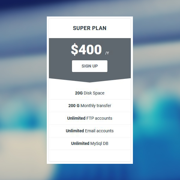 Web Hosting – Super Plan – Valcom International